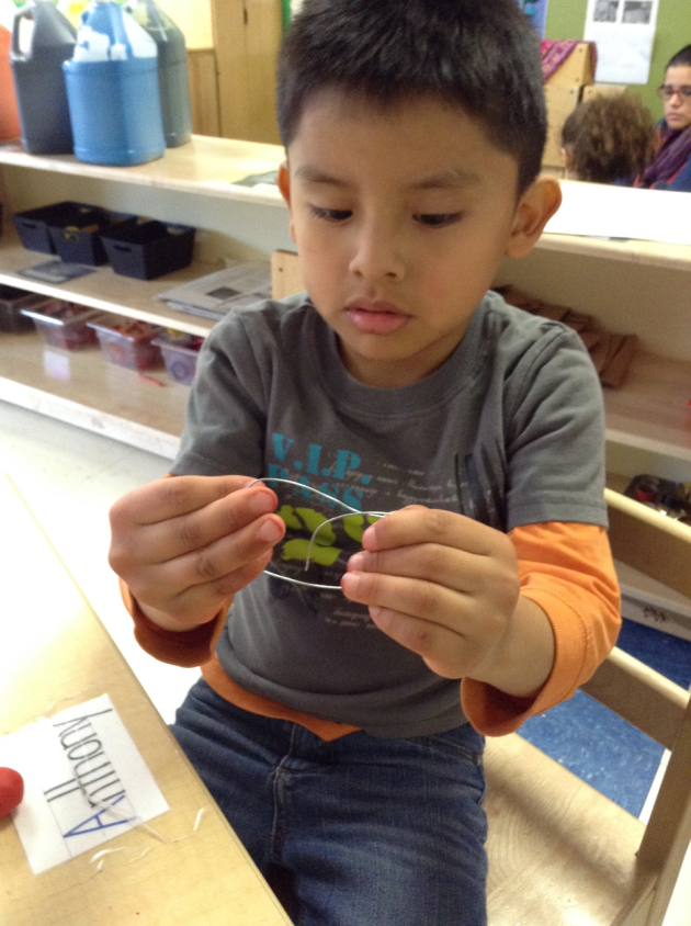 Early Math in Projects: Part #4 – Early Math Counts