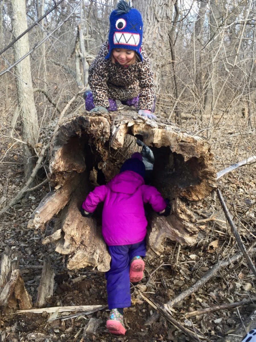 Inside, Outside, Upside Down- The Joy of a Hollow Log – Early Math Counts