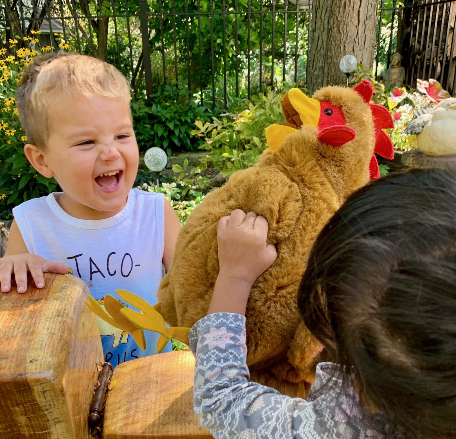 rooster – Early Math Counts