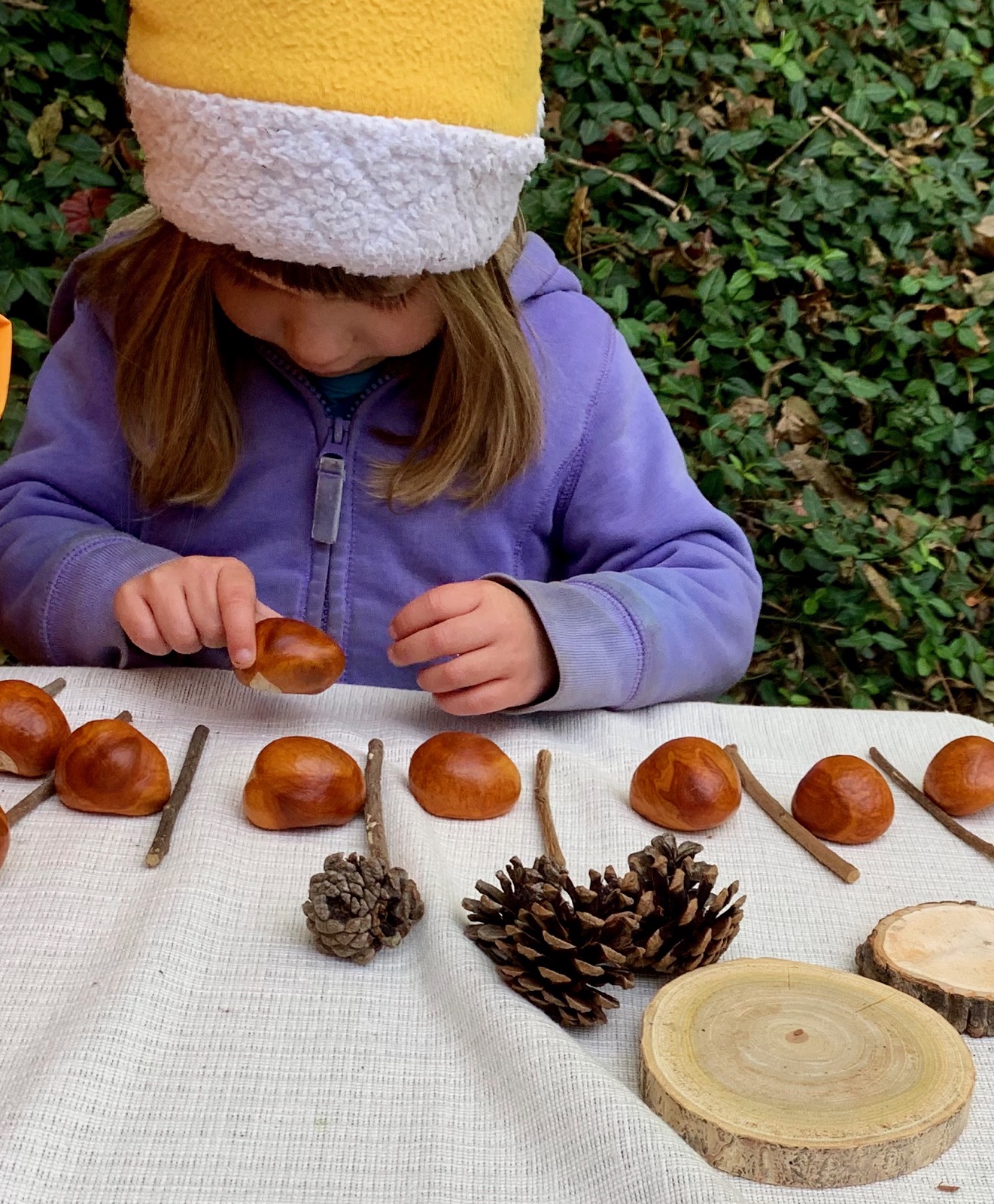 concentrating-noa – Early Math Counts