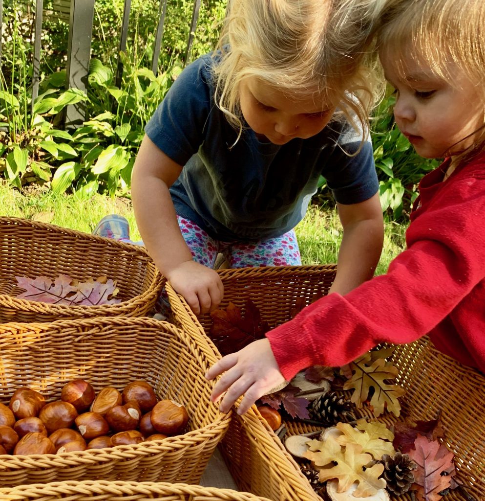 An Autumn Bounty of Math-Building Activities – Early Math Counts