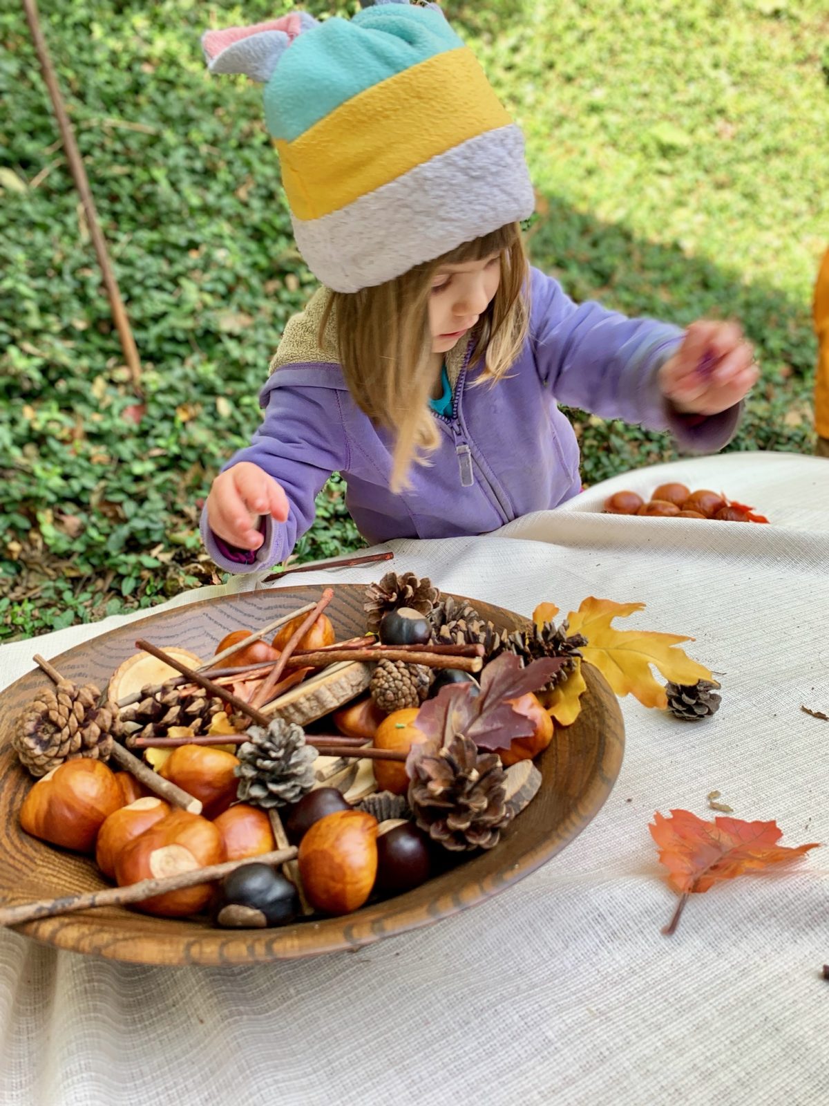 noa-sorting – Early Math Counts