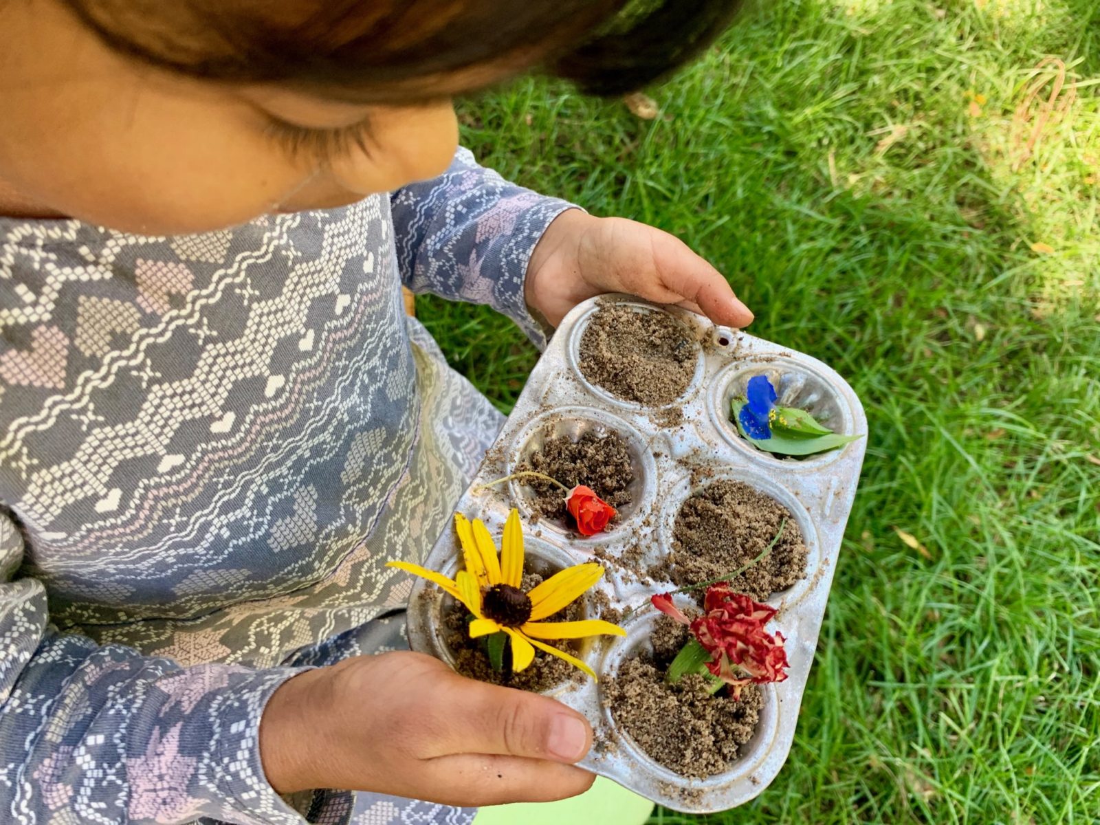 STEM Magic with Clay – Early Math Counts