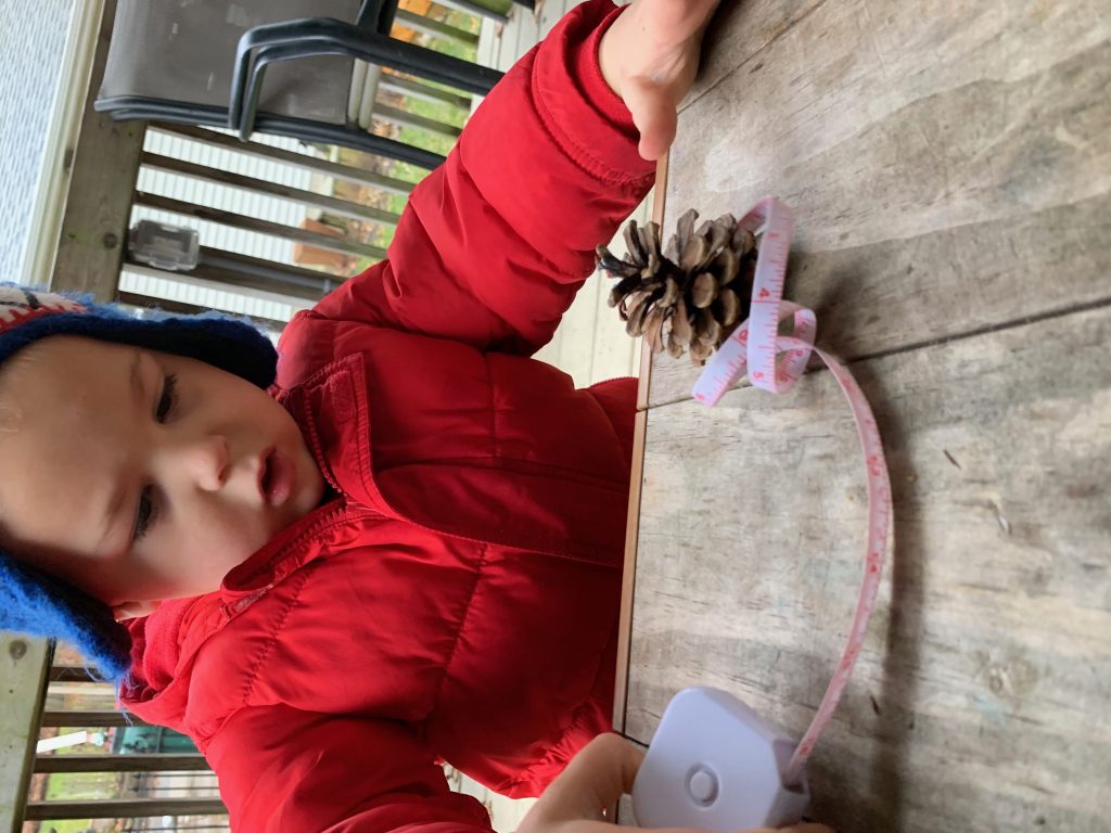 Lessons from the Block Shelves – Early Math Counts