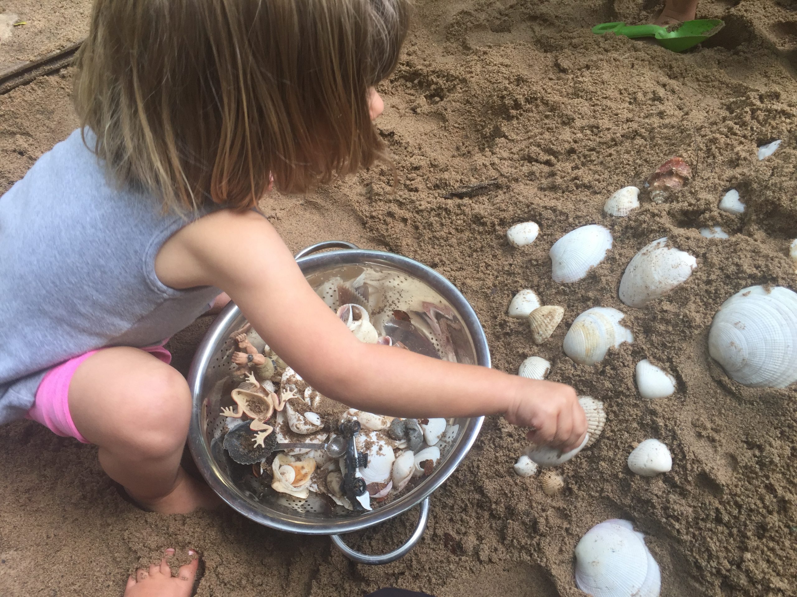 Return of the Sand Gardens – Early Math Counts