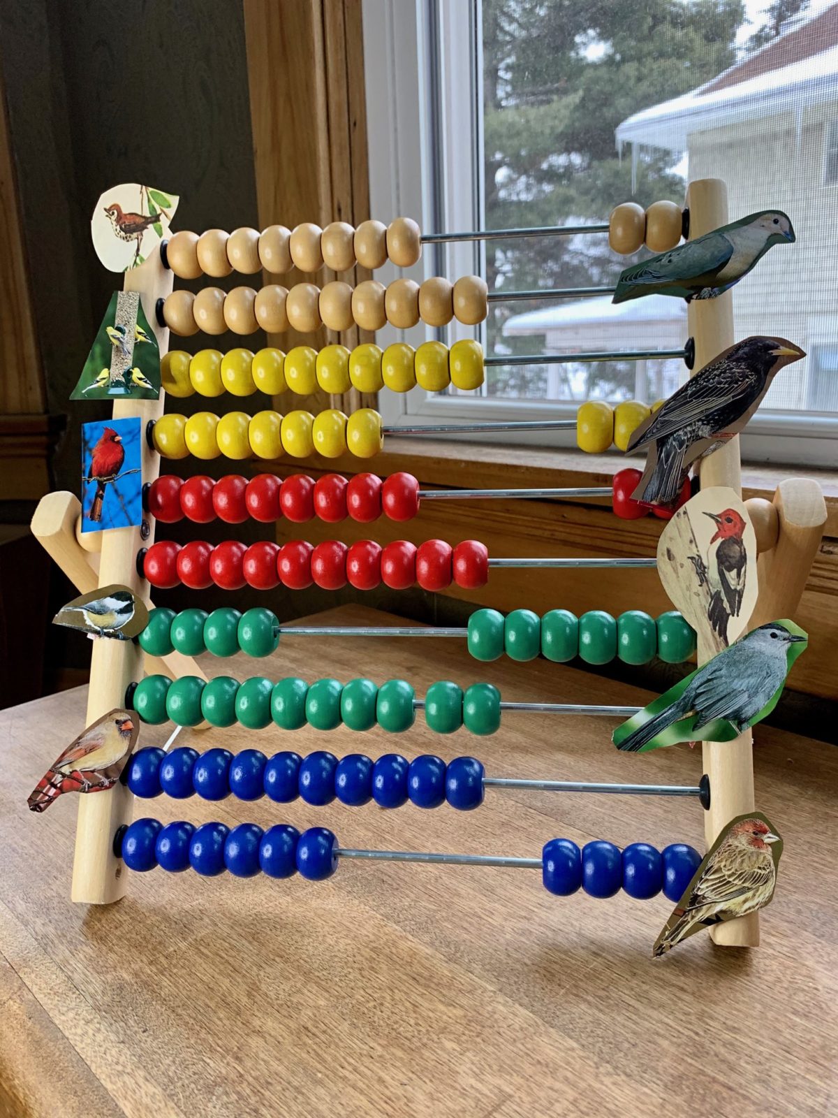 STEM in the Bird Feeder – Early Math Counts