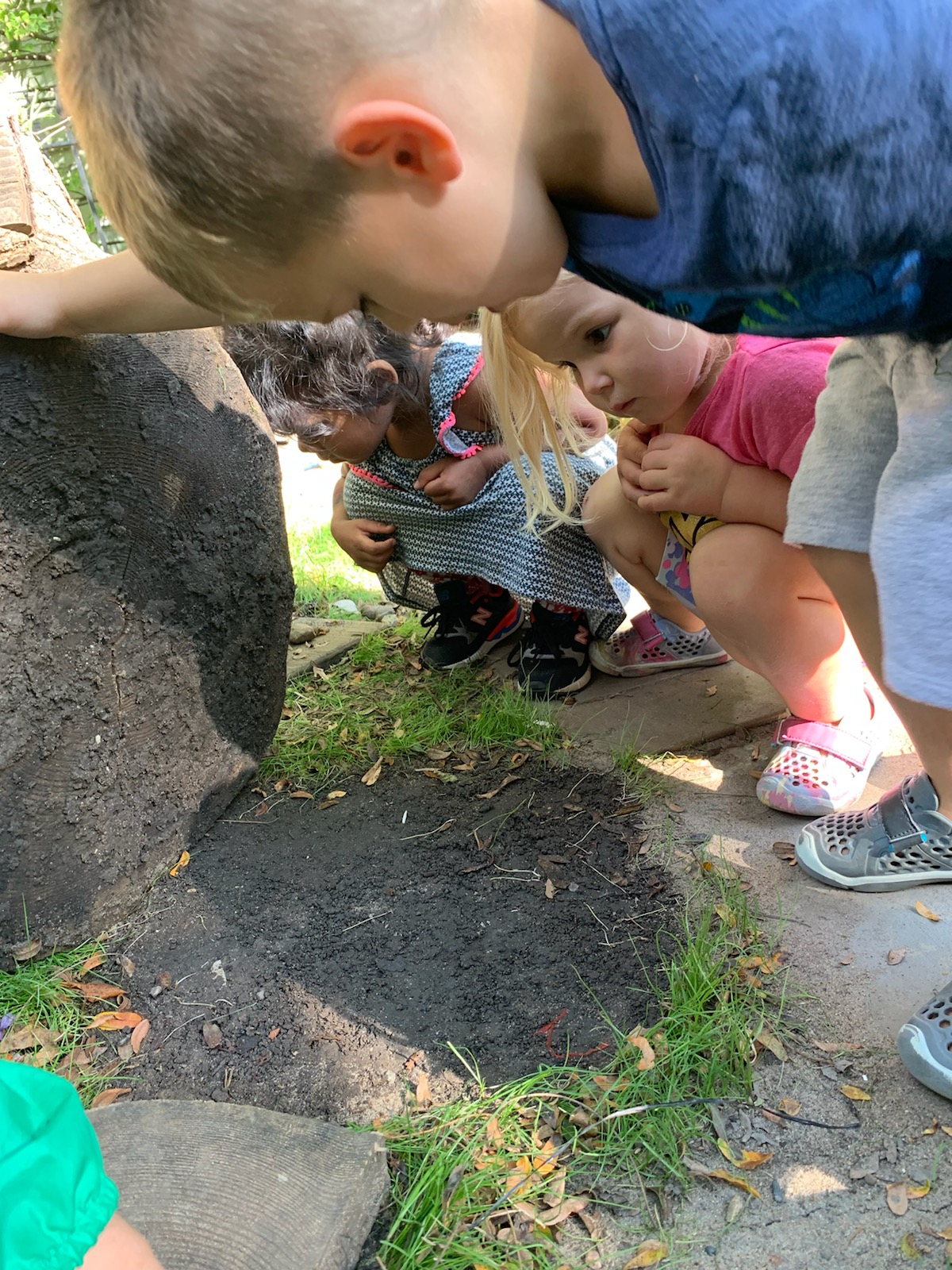 Finding STEM in Squirming Worms – Early Math Counts