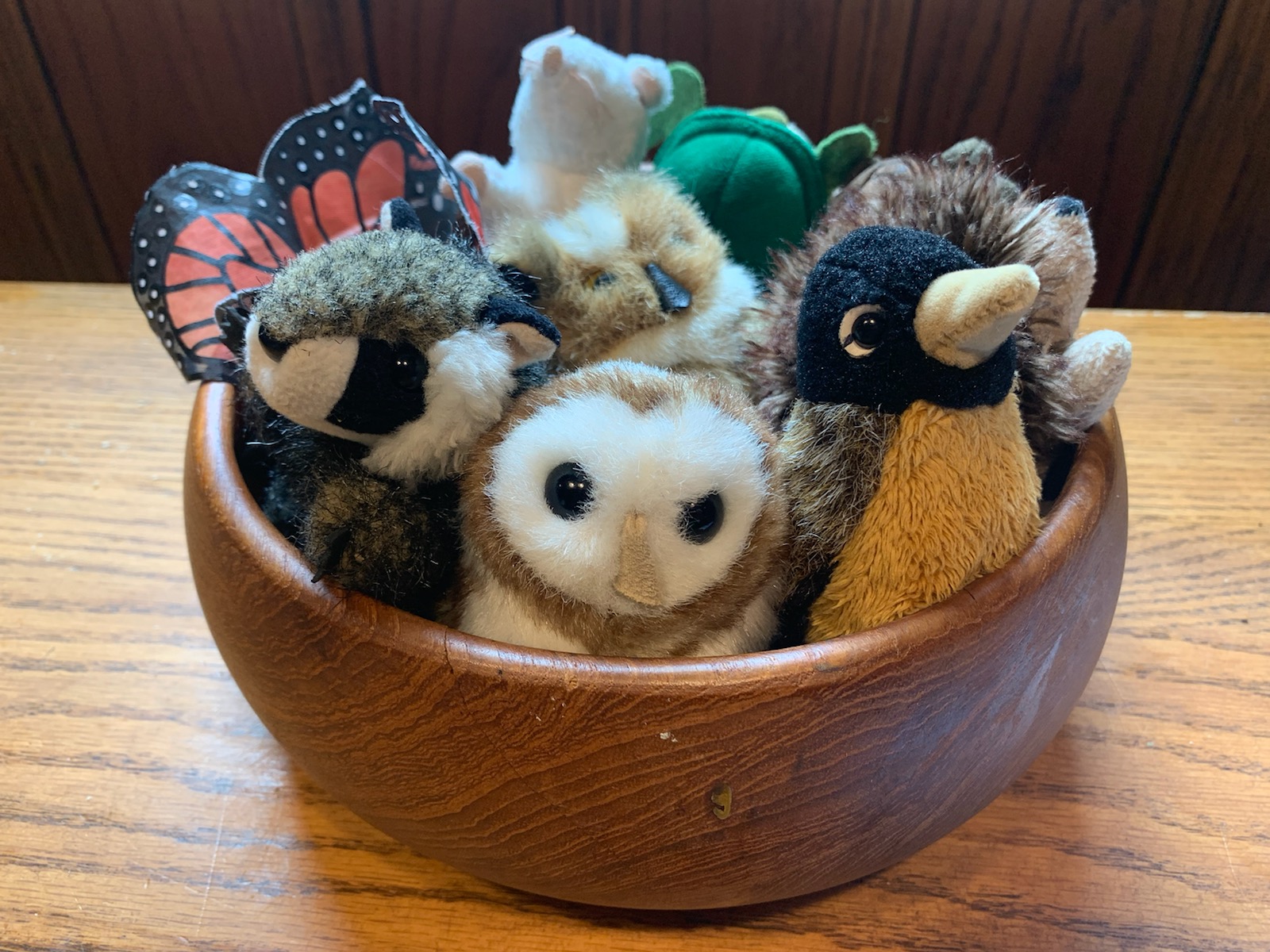 Midline Activities for Brain Development – Early Math Counts