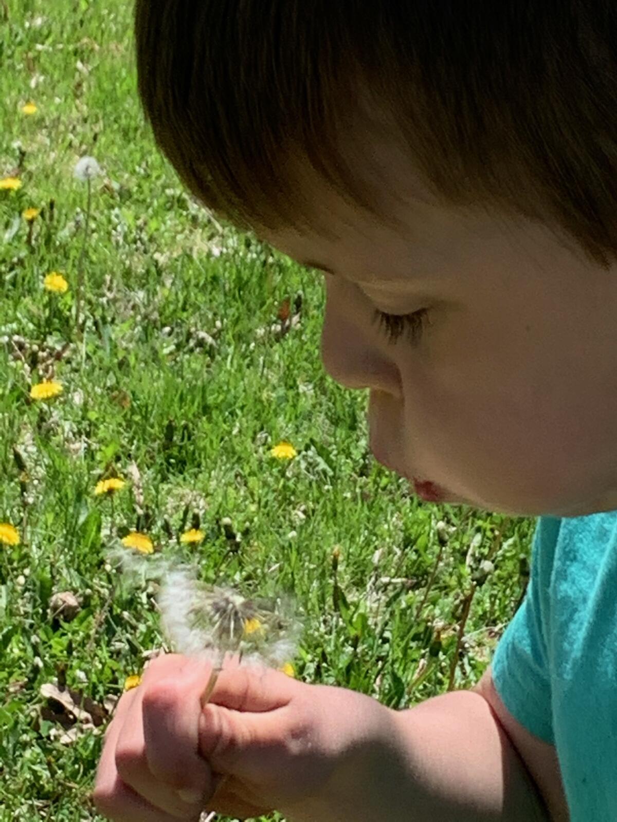 A Small Whiff of STEM – Early Math Counts