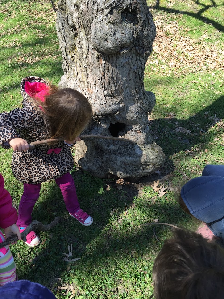 The Magic Tree – Early Math Counts