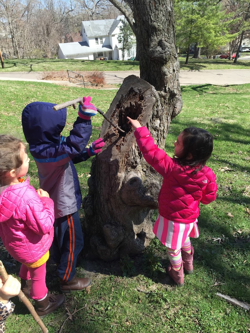 The Magic Tree – Early Math Counts