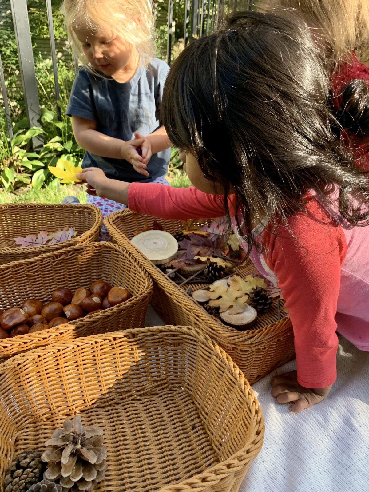 What’s in YOUR Pocket? Collections in Early Childhood – Early Math Counts