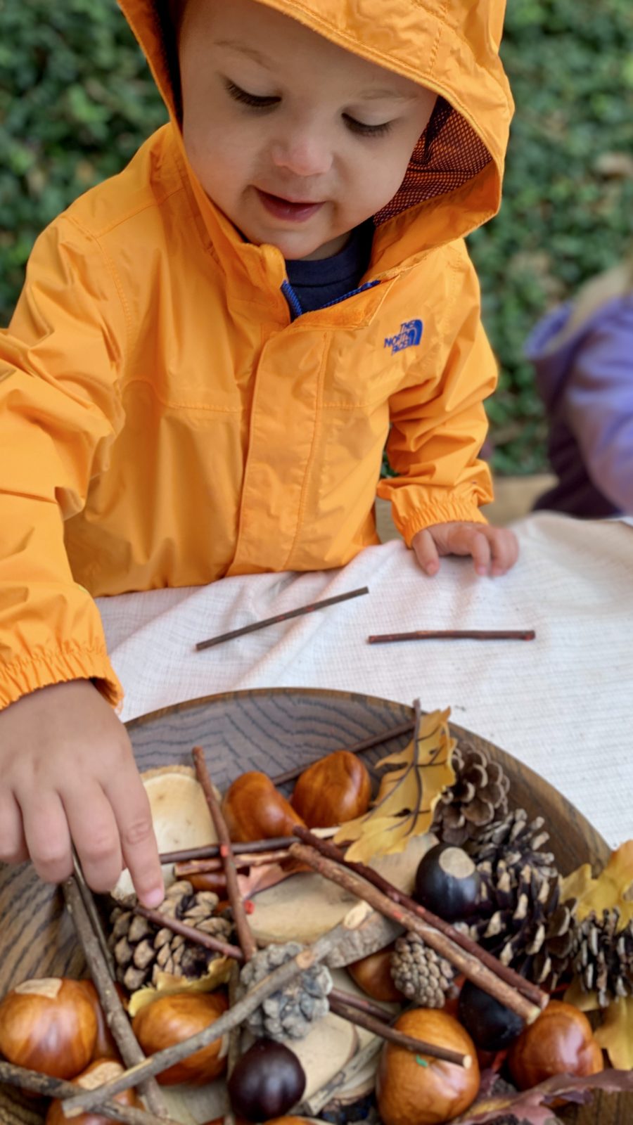What’s in YOUR Pocket? Collections in Early Childhood – Early Math Counts
