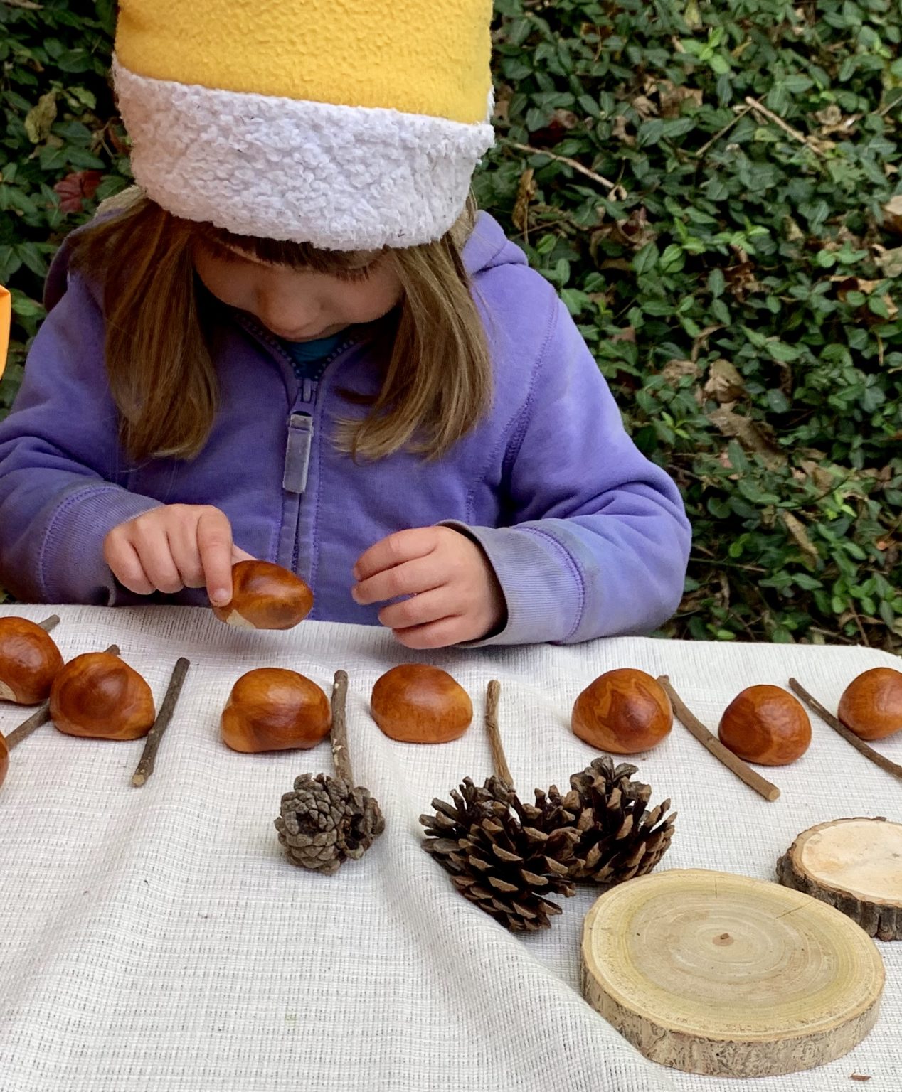 The Power of Patterns: Building Early Math Skills Through Play – Early Math Counts