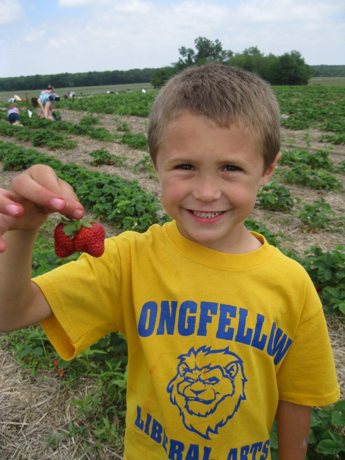 Finding Math in a Field of Strawberries – Early Math Counts